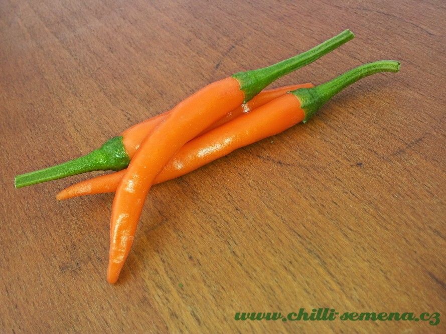Chilli semena - Thai Orange