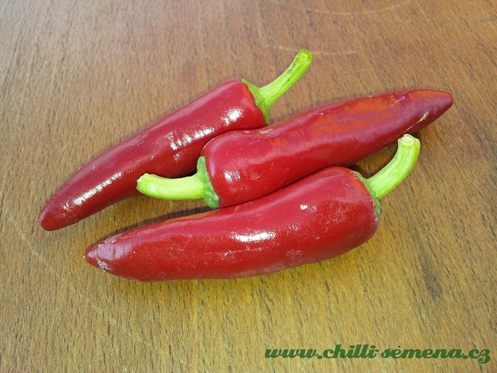 Chilli semena - Serrano Chilli